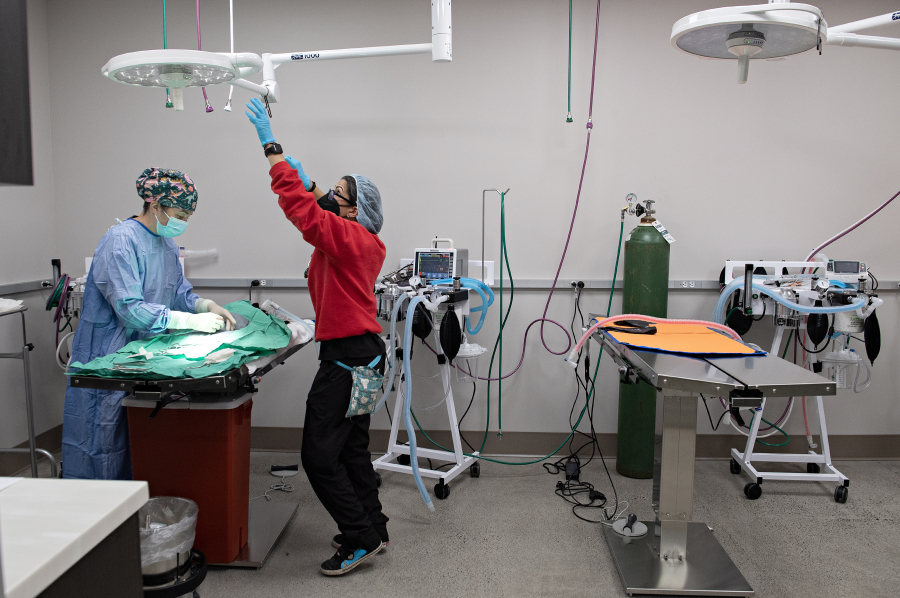 Humane Society for Southwest Washington opens pet clinic for low-income ...